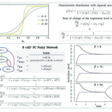 A Boolean Modeling Of The Transcriptional Core Regulating Naive B Download Scientific