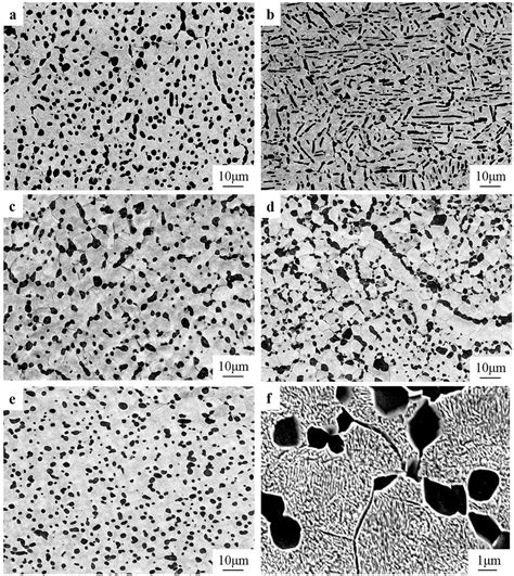 Sem Micrographs Of Different Samples Cut From Different Regions A