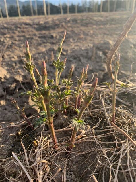 Legacy Windows And Doors Here At Legacy We Love Windows 🪟and Doors🚪of All Colours Shapes And