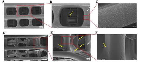 Figure 1 From Pclagarose 3d Printed Scaffold For Tissue Engineering Applications Fabrication
