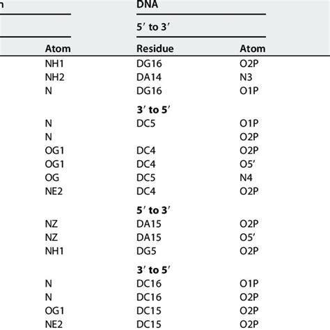 Details Of Molecular Interactions Between The Dimer Of Ader Protein And