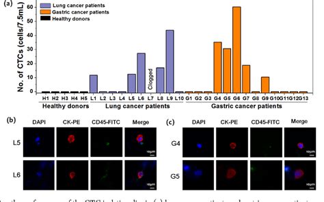 Figure 4 From All In One Centrifugal Microfluidic Device For Size