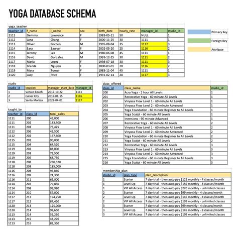 Wildcards Examples In Yoga Database Catty Learns Code