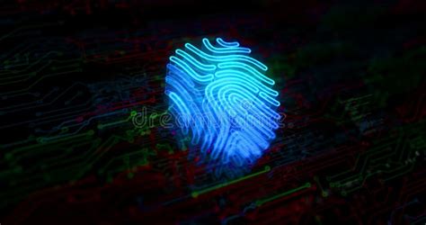 Fingerprint Cyber Id Security And Identity Symbol Digital Concept Stock