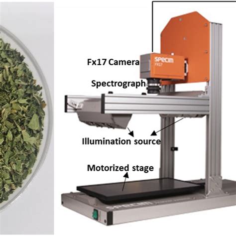 Overview Of Preprocessing Variable Selection And Regression Tools Used Download Scientific