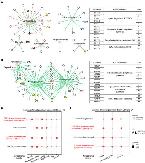 Functional Gene Family And Pathways Analysis In Metagenomic Sequencing Download Scientific