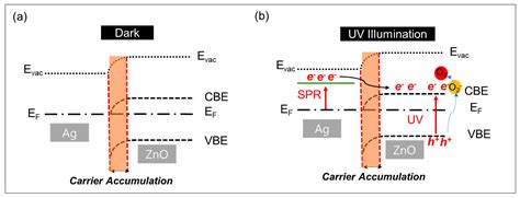 Synergistic Enhancement Of Electron Dynamics And Optical Properties In