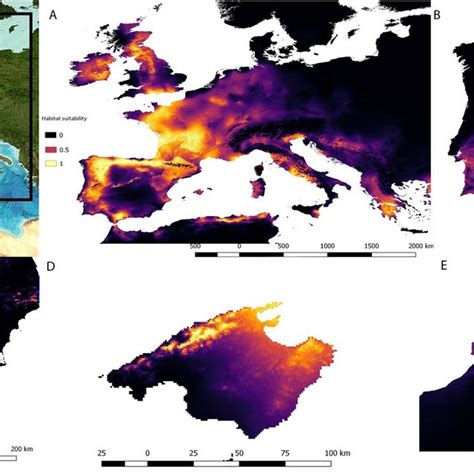 Potential Distributions Of Predicted Suitability By Maxent Models For Download Scientific
