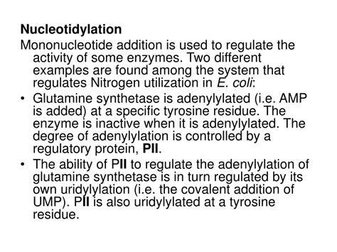 Ppt Post Translational Modification 1 Dealing With The N Terminal