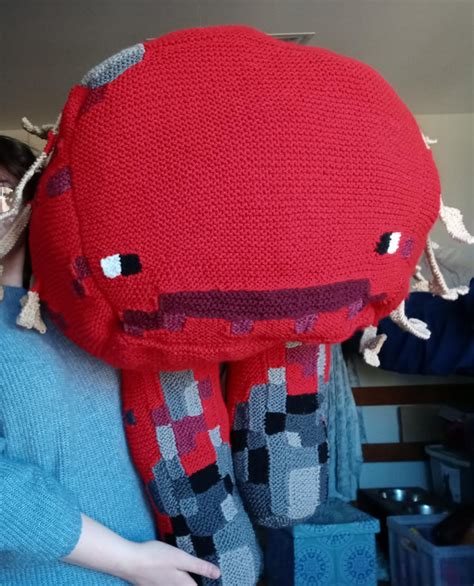 I Made A Strider Rminecraft