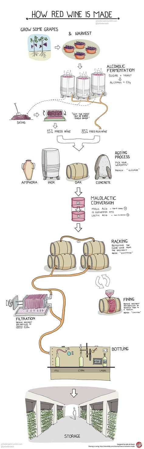 Wine Fermentation Diagram Prosecco The In Depth Guide