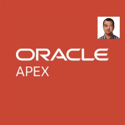 Be Doing An Expert Level Project In Oracle Apex With Database Design By
