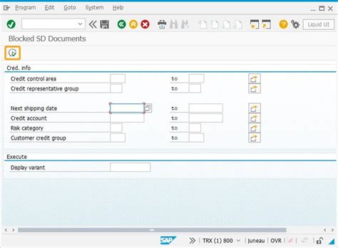 SAP Process