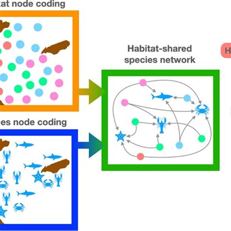 Simplified Representation Of A Bipartite Network Where The Species And