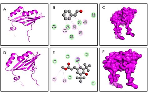 Molecular Docking Of The Protein Fosb 4nb2 And Plant Chemicals A B