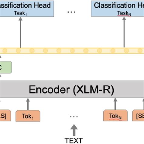 Task Specific Classification Head A Fully Connected Fc Layer