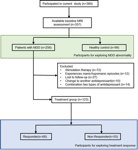 Structure Function Coupling And Hierarchy Specific Antidepressant Response In Major Depressive