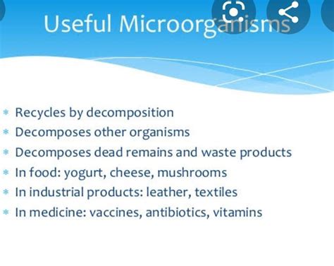 Useful Microorganisms