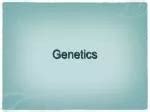 PPT Genetics PowerPoint Presentation Free Download ID