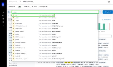Environment Logs Radiant Logic Documentation