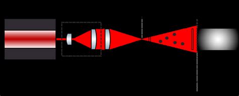 Diagram Of The Optical Set Up Of Digital Inline Holographic Microscopy Download Scientific