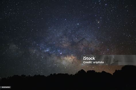 하 수와 푸 힌 롱 Kla 국립 공원 핏 사 눌 록 태국 긴 노출 Photographwith 곡물에 나무의 실루엣 0명에 대한