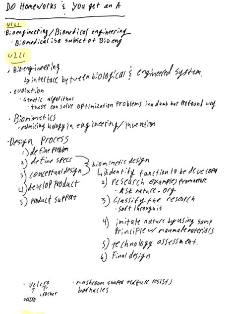 Lecture Notes Bmed Pdf Pdf Biomedical Engineering Materials