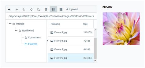 telerik ui for asp ajax