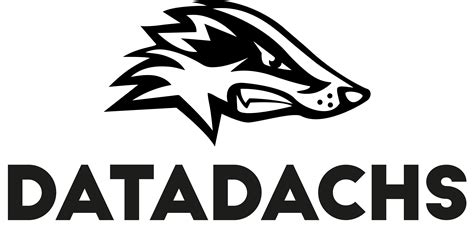 DataDachs SSD Webhosting Litespeed Webserver