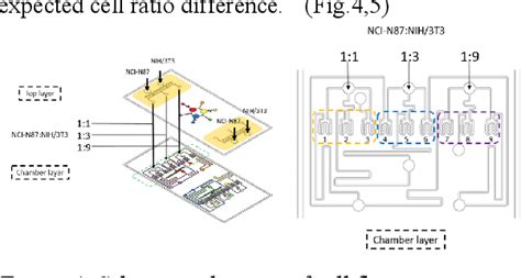 Figure 4 From A Labchip With Co Cultured Spheroids Applied For Hipec