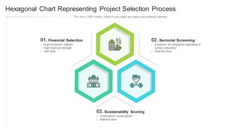Project Selection Slide Team
