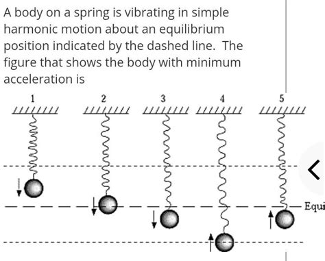 Solved A Body On A Spring Is Vibrating In Simple Harmonic Chegg Com