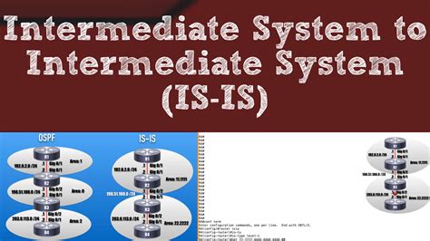 intermediate system to intermediate system is is routing protocol