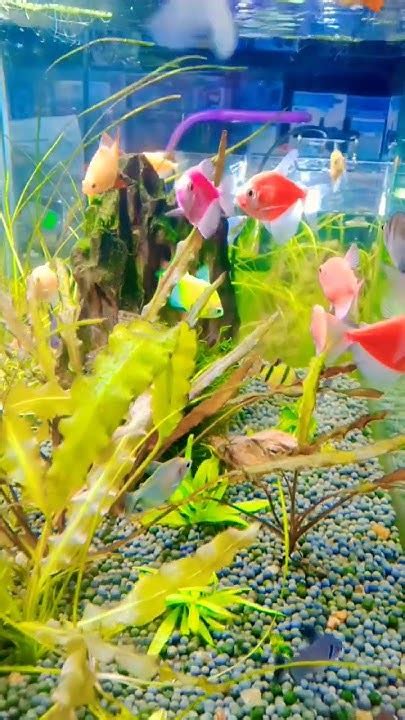 හිතේ ප්‍රශ්න වලට හොඳම බෙහෙත🤗🤗 Youtube