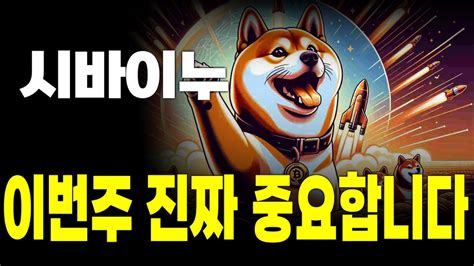 시바이누코인 전망 이번주가 진짜 중요합니다 시바이누 시바이누코인 비트코인 Youtube