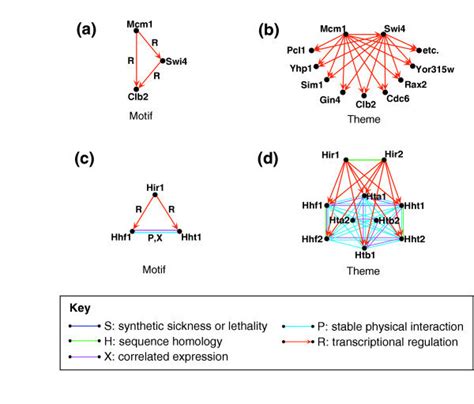 Examples Of Network Motifs A C And Themes B D A B A Download Scientific Diagram