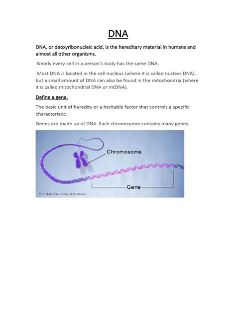 Dna Notes Pdf Dna Rna