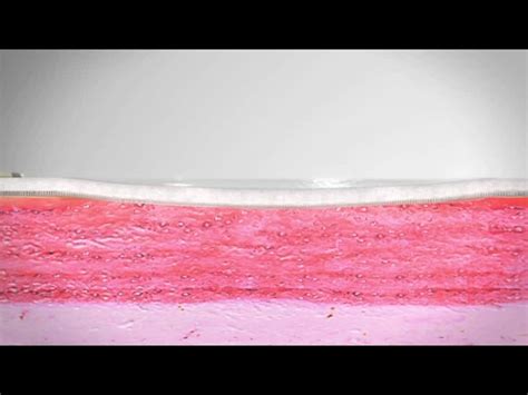 Pico System Application