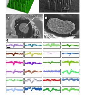 PDF The CMU Array A D Nano Printed Fully Customizable Ultra High Density Microelectrode Array
