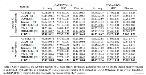 研一下第五周论文阅读情况 feature re embedding towards foundation model lev csdn博客