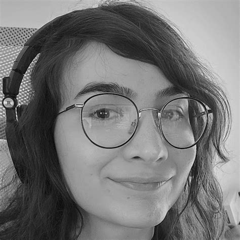 Dinoframe RACF Access Levels And Their Meaning