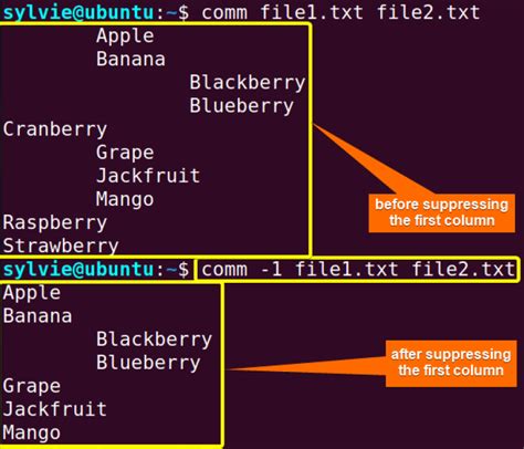 The “comm” Command In Linux 10 Practical Examples