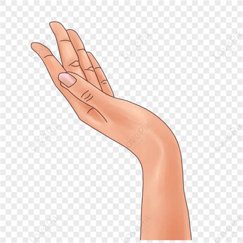 손 Png 일러스트 무료 다운로드 Lovepik