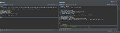 Undocumented Authentication Bypass Issue In Aem Package Manager Blog