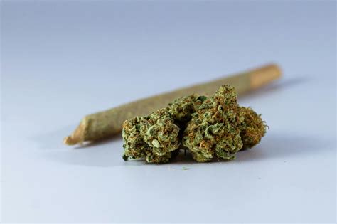 Best Pre Roll Brands 2025 Top 10 Reviewed And Ranked Sluggers