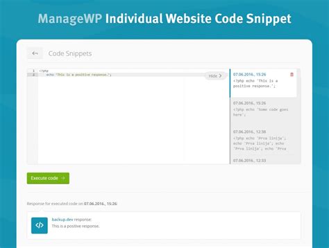 Code Snippets and Maintenance Mode Now in Orion - ManageWP