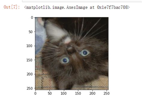 深度学习趣谈什么是迁移学习附带Tensorflow代码实现 Geeksongs 博客园 深度学习趣谈什么是迁移学习附带Tensorflow代码实现 Geeksongs 博客园