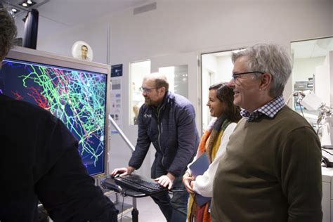 Scientists Map Part Of A Mouses Brain Thats So Complex It Looks Like