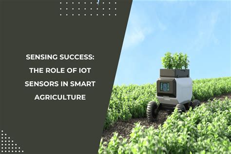 Sensing Success The Role Of Iot Sensors In Smart Agriculture Dax