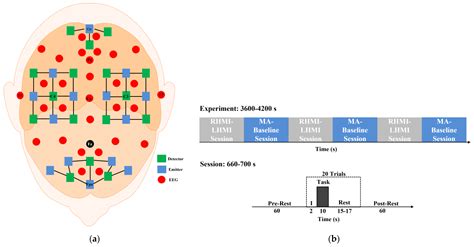 Optef Bci An Optimization Based Hybrid Eeg And Fnirsbrain Computer Interface